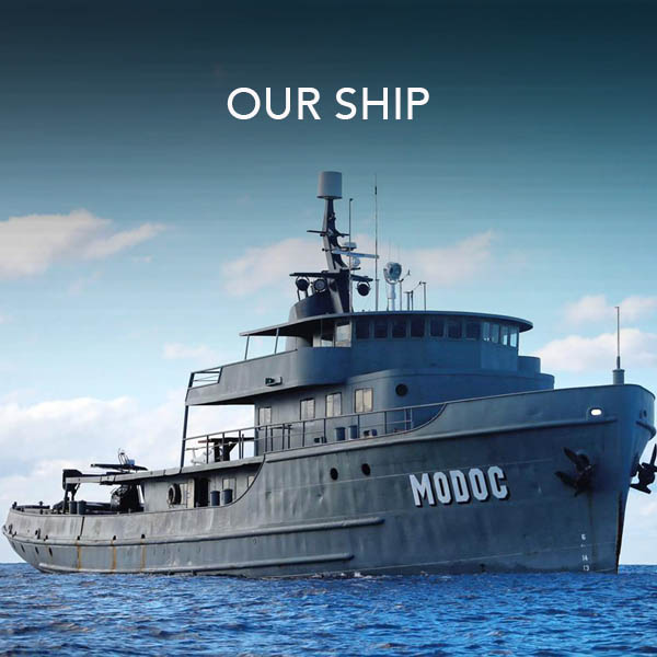 Modoc - Earthrace Conservation