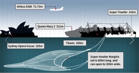 THE BATTLE AGAINST SUPER-TRAWLERS - CAPTAIN'S BLOG 18 - Earthrace ...
