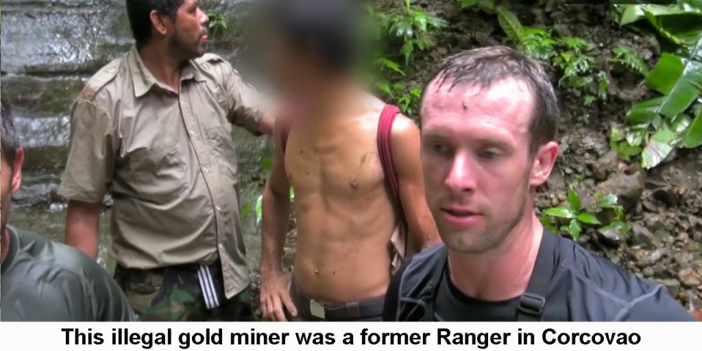 gold2 - Earthrace Conservation