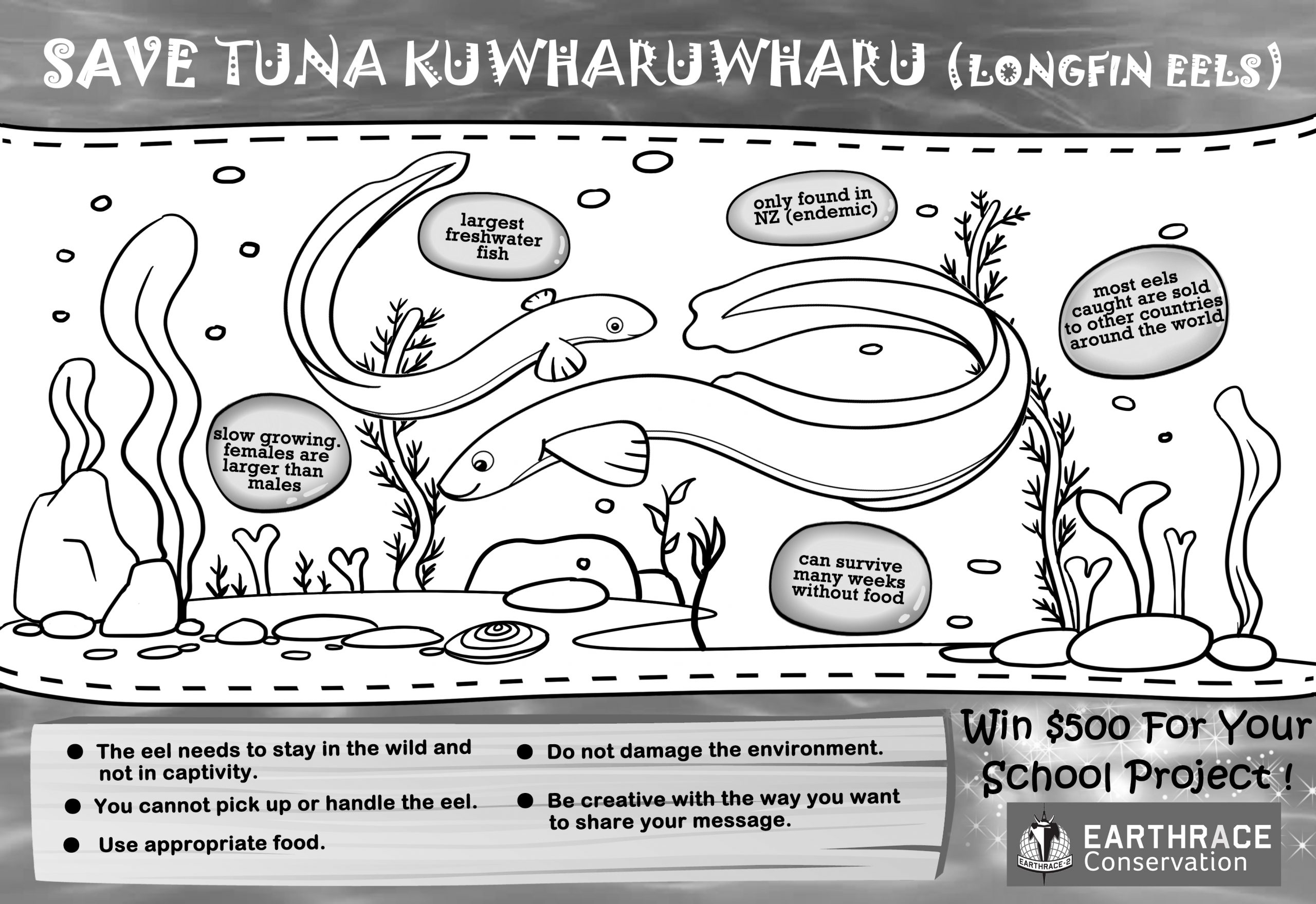 - Earthrace Conservation